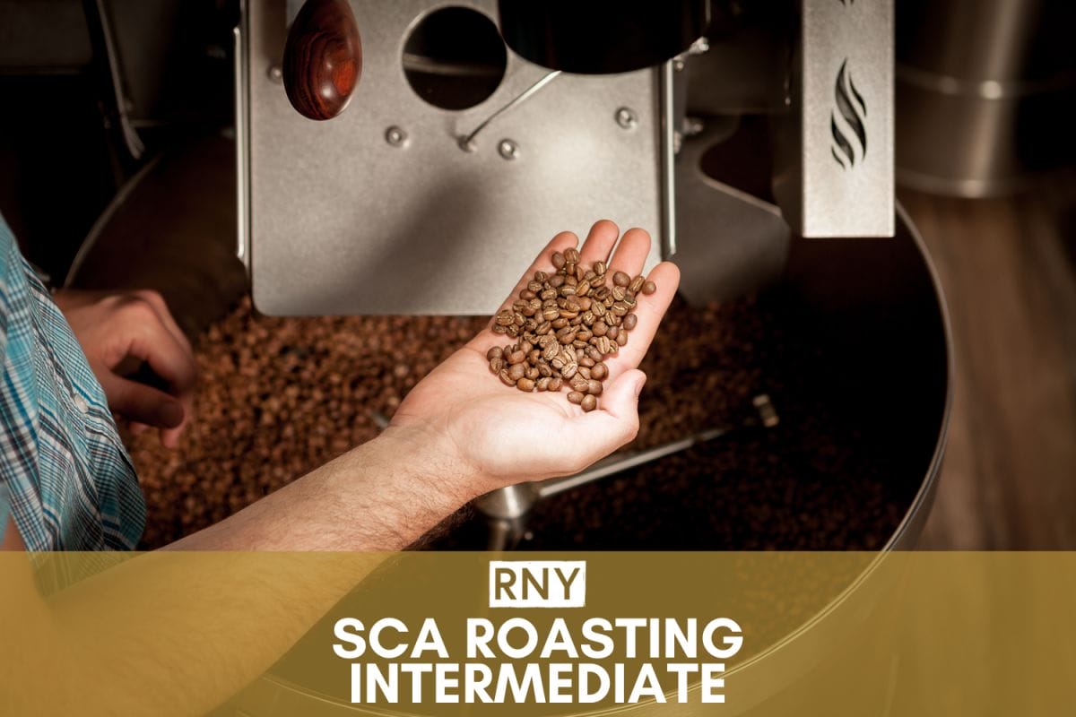 SCA Roasting Intermediate | Royal New York